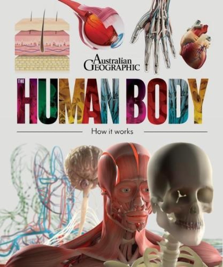 The Store - HUMAN BODY - Book - The Store