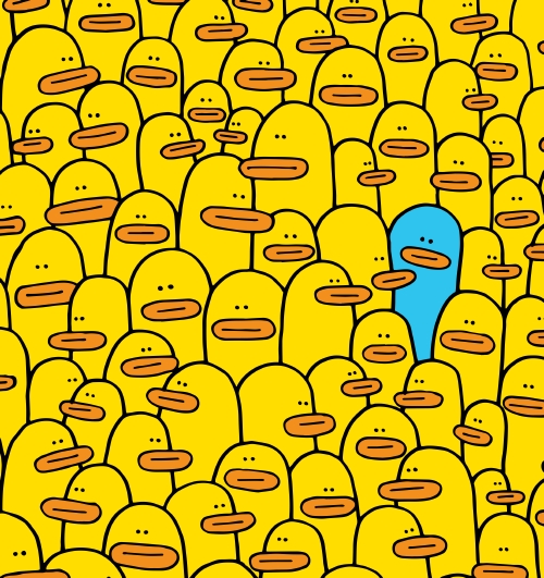 The Store - A DUCK CALLED BRIAN - Book - The Store