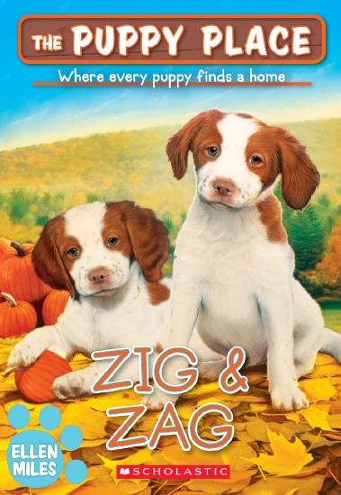 The Store - PUPPY PLACE#64 ZIG & ZAG - Book - The Store
