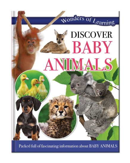 The Store - Discover Baby Animals - Book - The Store