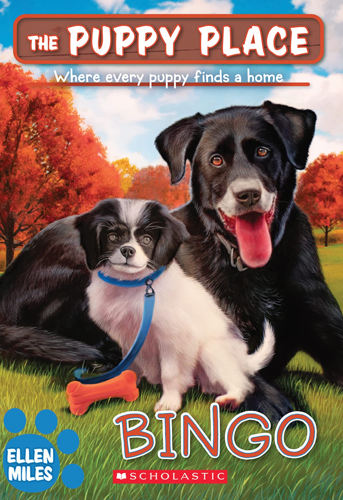 The Store - BINGO (PUPPY PLACE #65) - Book - The Store