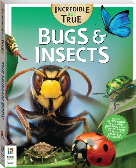 The Store - Bugs & Insects (Incredible but True) - Book - The Store