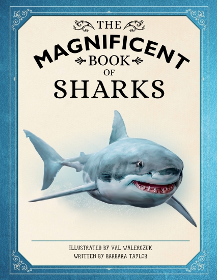The Store - The Magnificent Book of Sharks - Book - The Store