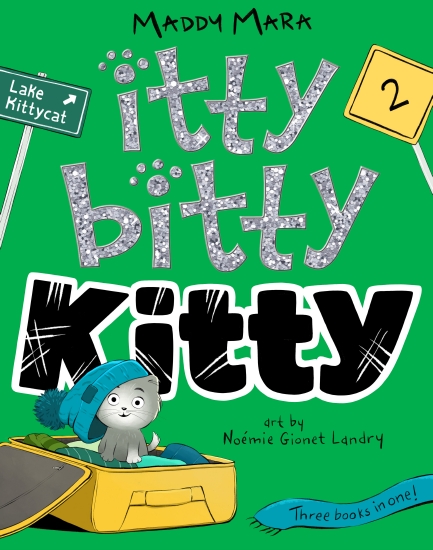 The Store - Itty Bitty Kitty #2 - Book - The Store