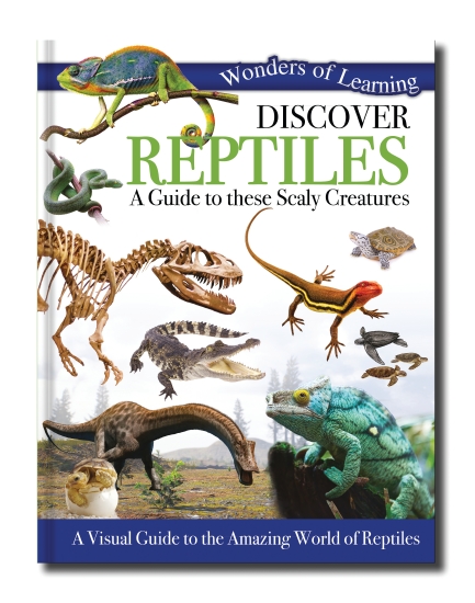 The Store - Discover Reptiles - Book - The Store