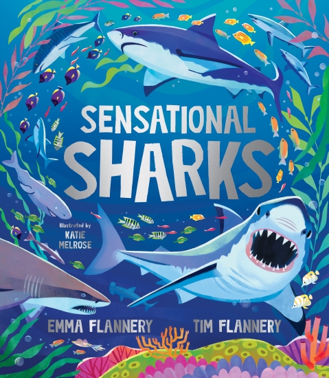Product: Sensational Sharks - Book - School Essentials