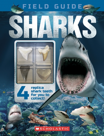 The Store - Sharks Field Guide - Book - The Store