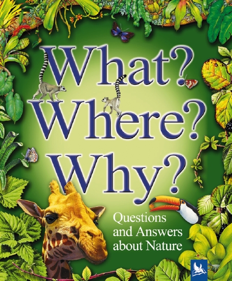 The Store - WHAT WHERE WHY - Book - The Store