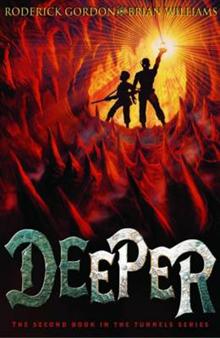 The Store - Deeper - Book - The Store