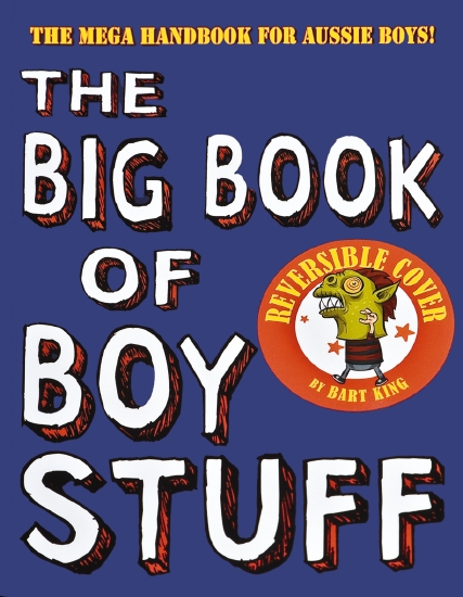 The Store - BIG BOOK OF BOY STUFF - Book - The Store