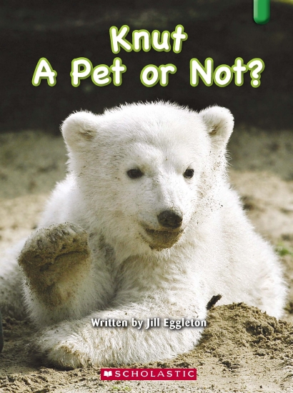 Product: KNUT A PET OR NOT - Book - School Essentials