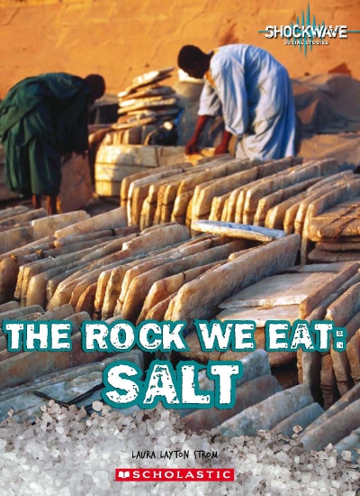 The Store - THE ROCK WE EAT SALT - Book - The Store