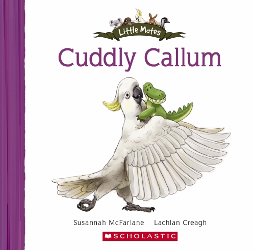 The Store - CUDDLY CALLUM - Book - The Store