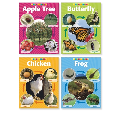 Product: LIFE CYCLE PHOTO CHART SET - Pack - School Essentials