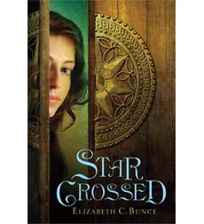The Store - Starcrossed - Book - The Store