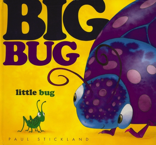 The Store - BIG BUG LITTLE BUG - Book - The Store