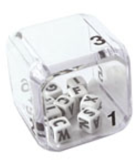 The Store - WORD RALLY - Toy/Game - The Store