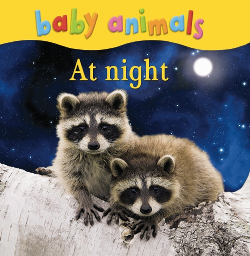 The Store - BABY ANIMALS AT NIGHT BRD BK - Book - The Store