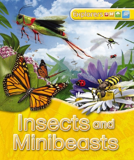 The Store - INSECTS AND MINIBEASTS EXPL - Book - The Store