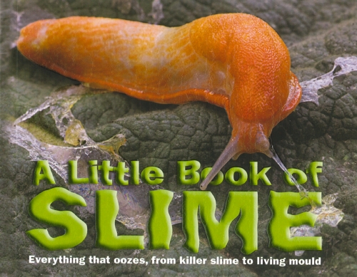 The Store - LITTLE BOOK OF SLIME - Book - The Store