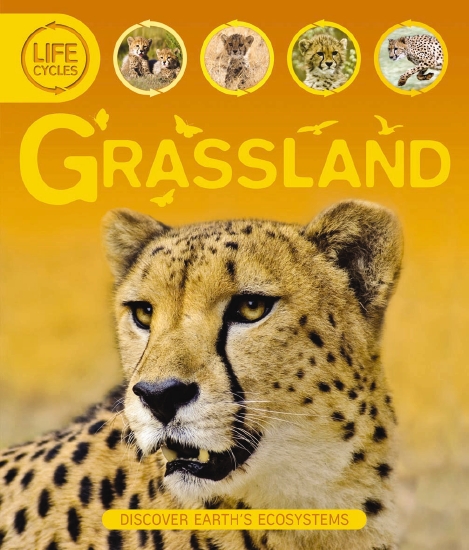 Product: GRASSLAND LIFE CYCLES - Book - School Essentials