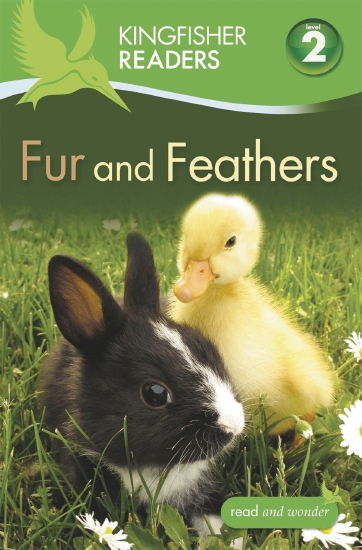 The Store - FUR AND FEATHERS LEVEL 2 - Book - The Store