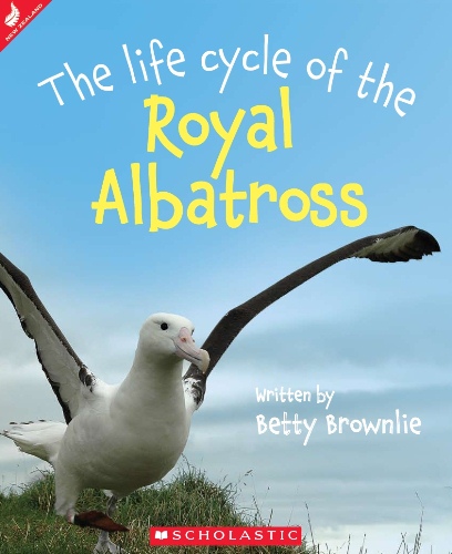 Product: LIFECYCLE OF ROYAL ALBATROSS - Book - School Essentials