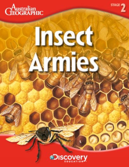 The Store - INSECT ARMIES - Book - The Store