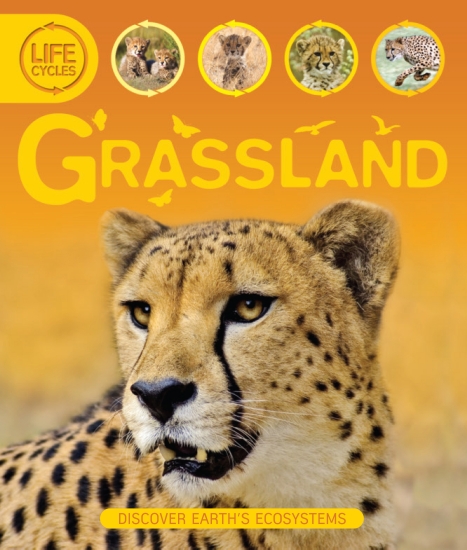 The Store - GRASSLANDS LIFE CYCLES - Book - The Store