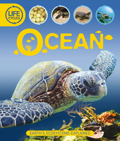 Product: OCEAN LIFE CYCLES - Book - School Essentials