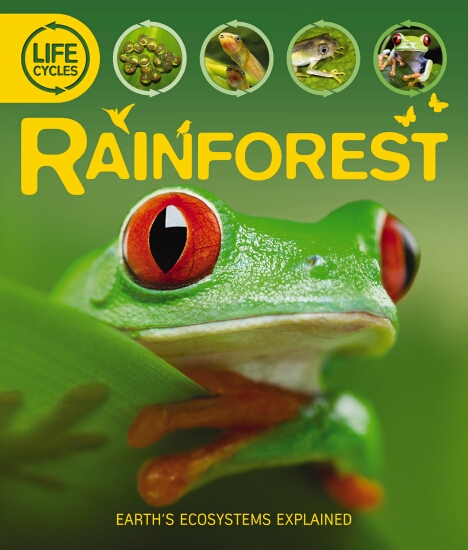 The Store - RAINFOREST LIFE CYCLES - Book - The Store