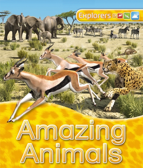 The Store - AMAZING ANIMALS EXPL - Book - The Store