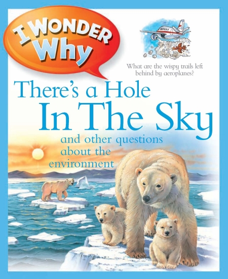 Product: THERE'S A HOLE IN THE SKY IWW - Book - School Essentials