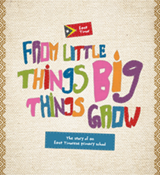 The Store - FROM LITTLE THINGS-EAST TIMOR - Book - The Store