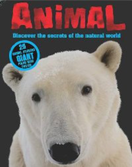 The Store - ANIMALS POSTER REFERENCE BOOK - Book - The Store