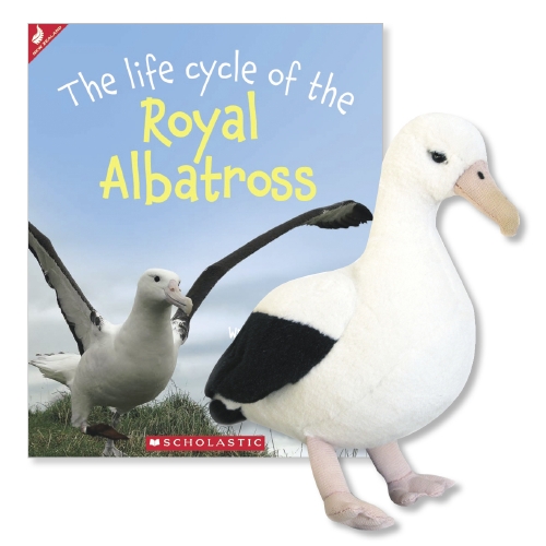 Product: LEARN ABOUT ROYAL ALBATROSS - Book - School Essentials
