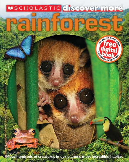The Store - RAINFOREST DISC MORE - Book - The Store
