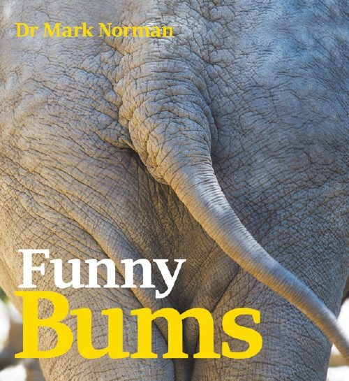 Product: FUNNY BUMS - Book - School Essentials