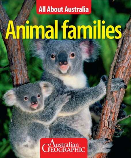 Product: ANIMAL FAMILIES ALL ABOUT AUS - Book - School Essentials