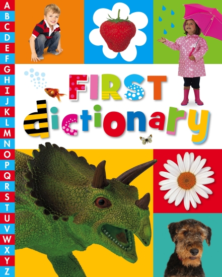 The Store - FIRST DICTIONARY - Book - The Store