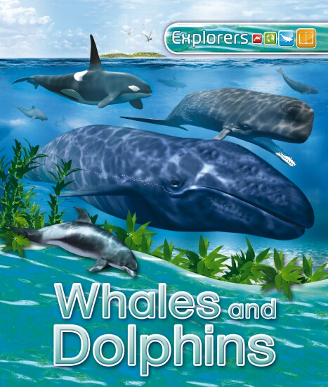 The Store - WHALES AND DOLPHINS EXPL - Book - The Store