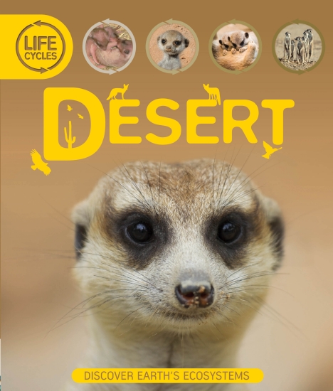 The Store - DESERT LIFE CYCLES - Book - The Store