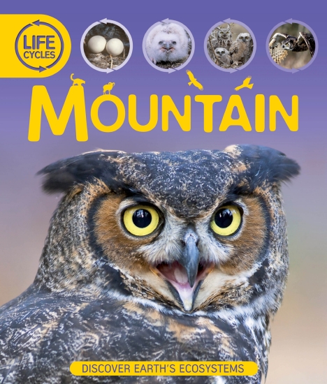 The Store - MOUNTAIN LIFE CYCLES - Book - The Store