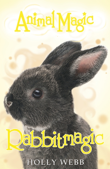 The Store - Rabbitmagic (NE) - Book - The Store