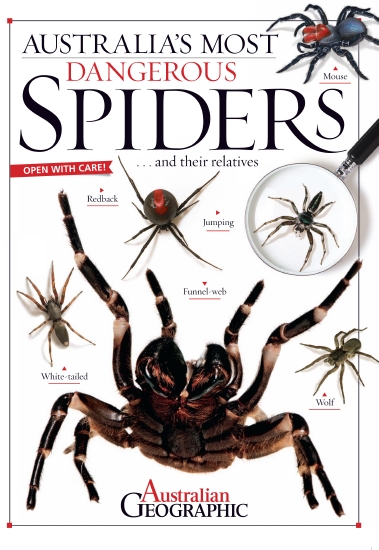The Store - SPIDERS AMD - Book - The Store