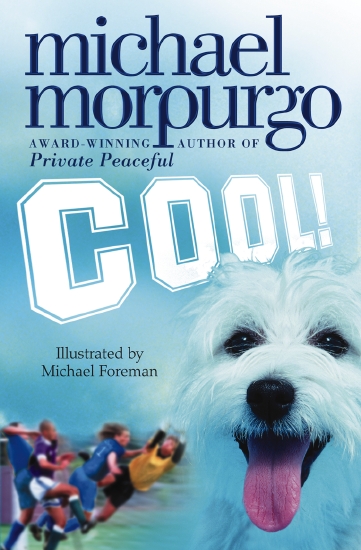 The Store - COOL - Book - The Store