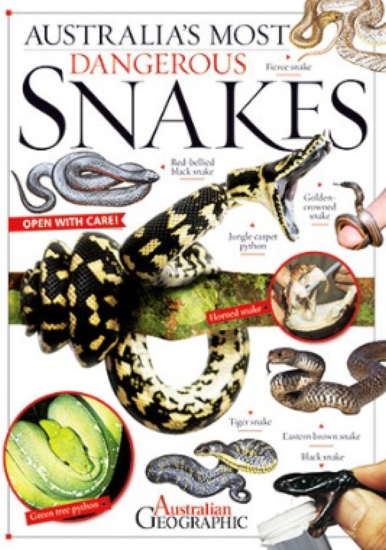 The Store - SNAKES AUSTRALIAS MOST DANGER - Book - The Store