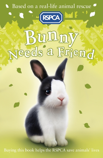 The Store - BUNNY NEEDS A FRIEND - Book - The Store