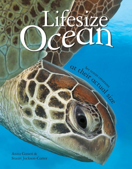 The Store - LIFESIZE OCEAN - Book - The Store