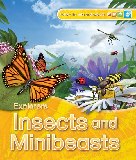 The Store - INSECTS & MINIBEASTS EXPL - Book - The Store